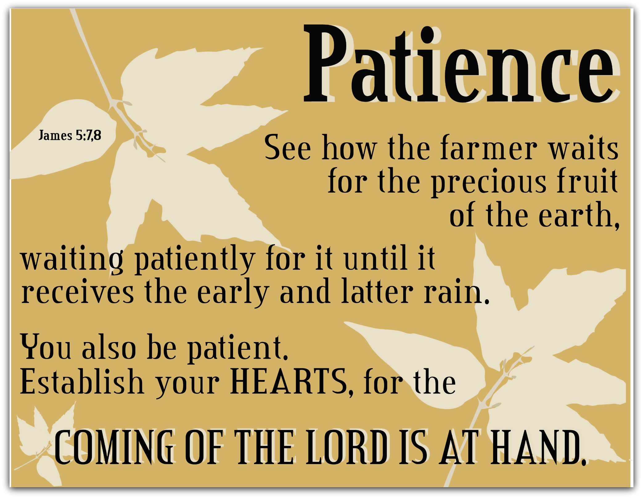Patience Is A Virtue Struggle To Victory