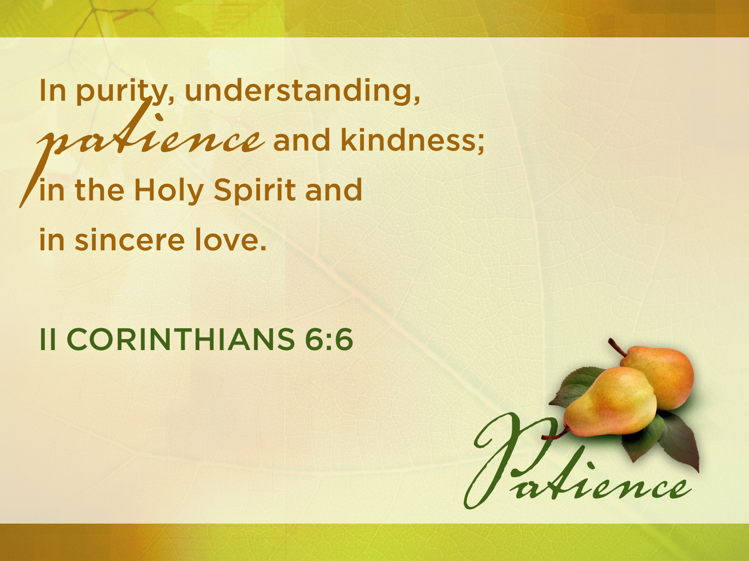 Cultivating Patience – Struggle to Victory